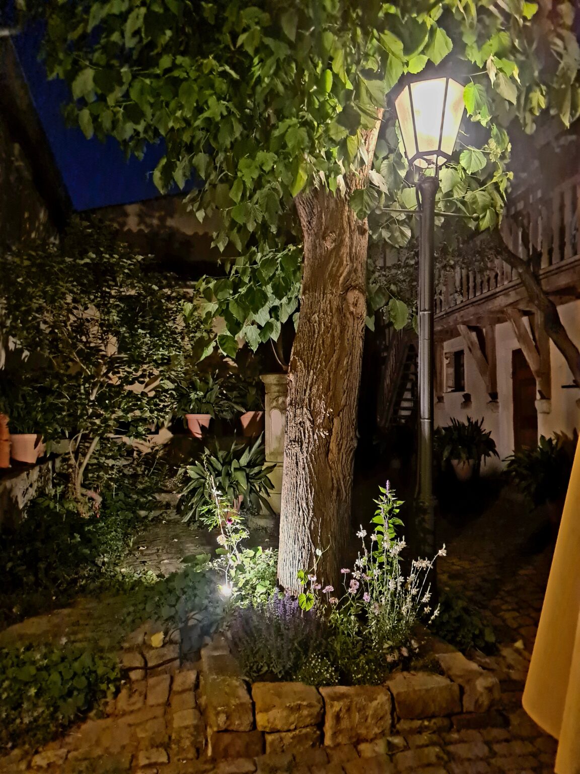 Ausstellung Badenheim – Galerie unterm Maulbeerbaum – RHEIN!ROMANTIK ...